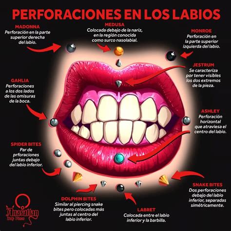 Piercings Labios Perforaciones En La Boca Tipos De Perforaciones
