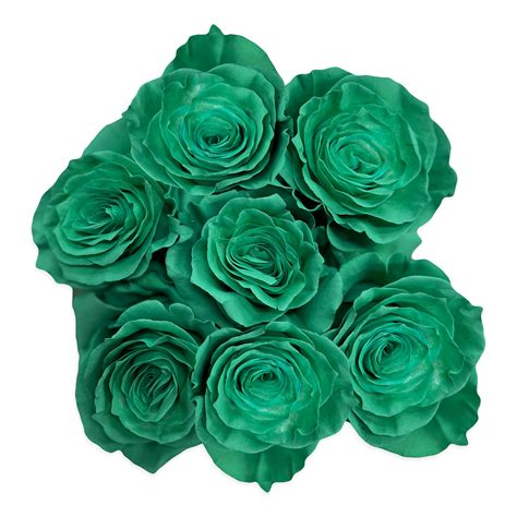 Fresh Teal Green Roses Farm Direct Delivery Flower Explosion