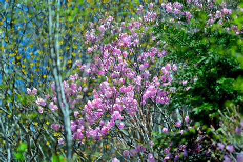 欣也尾崎 欣也尾崎 Added A New Photo