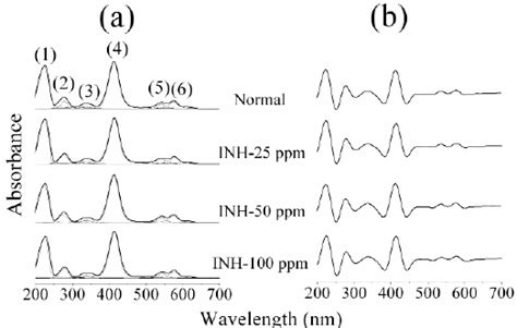Uv Visible Absorption Spectra Of Hemoglobin Samples Prepared From The
