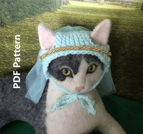 6 Cute Cat Hat Knitting Pattern Sitncrochet 2025