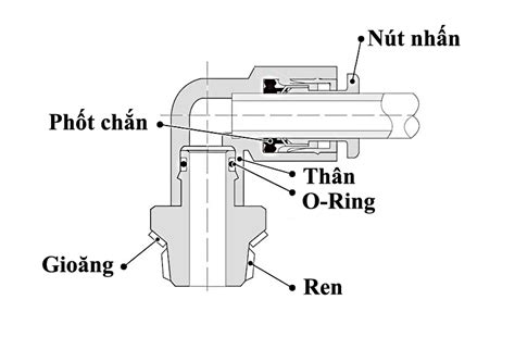 U N I Nhanh Kh N N L G C Ng D Ng C U T O V Ph N Lo I Chi Ti T