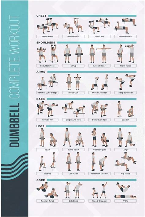 Dumbbell Workout Chart In 2024 Dumbbell Workout Workout Gym Routine