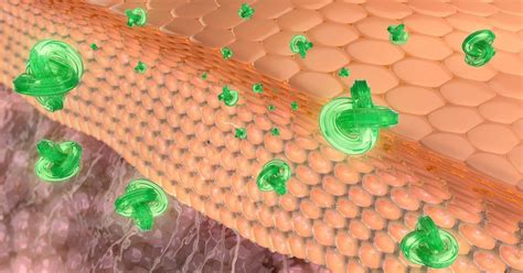 Celavive Skincare Ask The Scientists