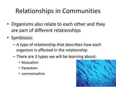 Relationships In Ecology Pptx Zoos And Aquariums Attractions