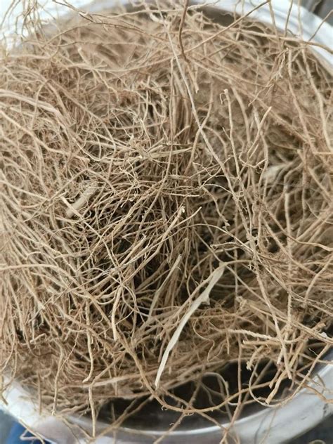 Khus Grass Dry At ₹ 100kg Hyderabad Id 2856631966630