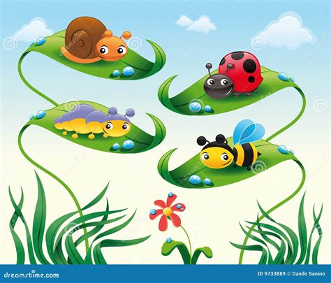 Insect On The Leafs Stock Vector Illustration Of Cute 9733889
