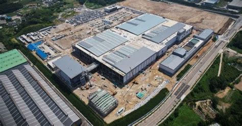 특징주 금양 불성실공시법인 지정 예고에 3대 하락