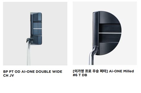 이제 퍼터를 새로 사야 하는 시점입니다퍼터 추천 부탁 골프포럼 딜바다닷컴