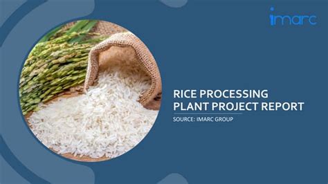 Rice Processing Plant Project Report Pdf