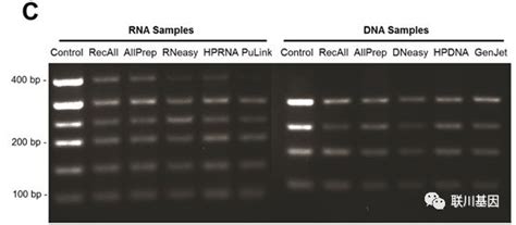 【文献解读】如何从ffpe样本中提取高质量的dna或rna？检测