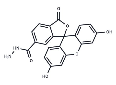 Fam Hydrazide 6 Isomer Targetmol