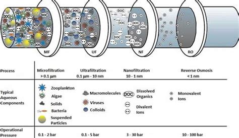 Cwater Swansea University