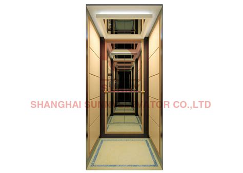 Pitless Residential Home Elevators Small Villa Lift Ascensores
