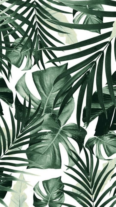 Aesthetic Tropical Wallpaper Hd Find 24 Images That You Can Add To