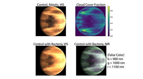 3 D Climate Simulations For The Detectability Of Proxima Centauri B