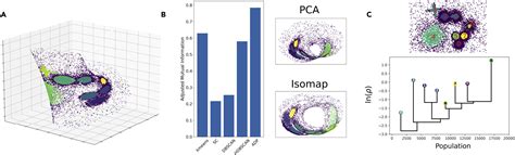 Dadapy Distance Based Analysis Of Data Manifolds In Python Patterns
