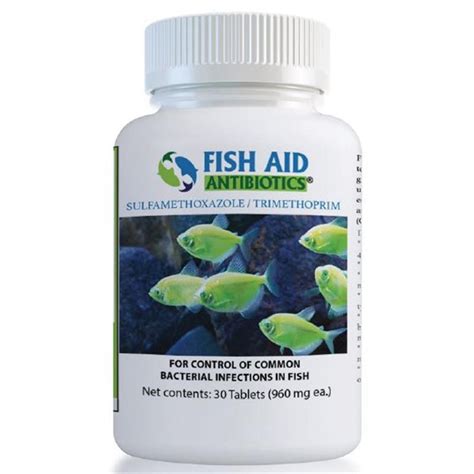 Fish Kanamycin Kanamycin