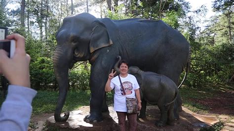 Bagiuo With Cabfam 2019 Youtube