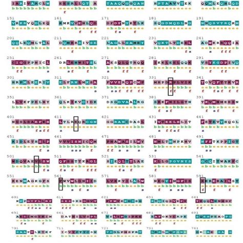 Evolutionary Conservancy Of Stat3 By Consurf Server The High Risk