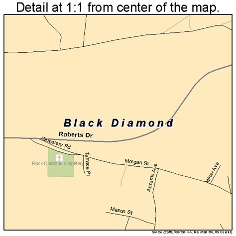 Black Diamond Washington Street Map 5306330