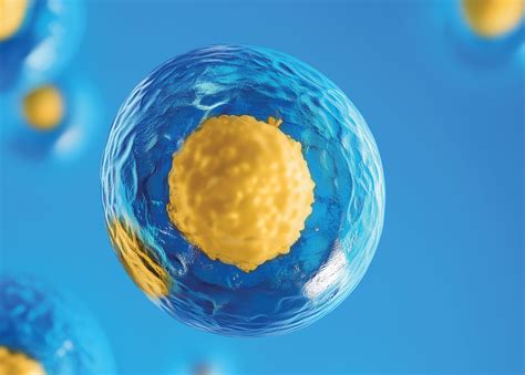 Insulin For Cell Culture