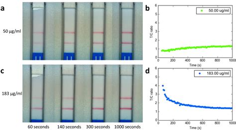 Figure 3 From Mitigating The Hook Effect In Lateral Flow Sandwich