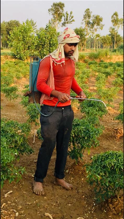 Azad R On Linkedin Fromfarmtocode Techjourney Adaptability