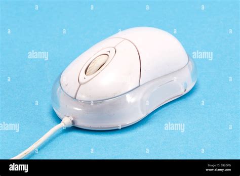 Computer Mouse Control At Sebastian Montefiore Blog