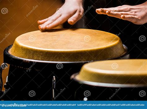 Bongo Playing Techniques At Beverly Wesson Blog