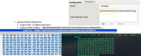 Ssl Forward Proxy Explained Using Wireshark Devcentral