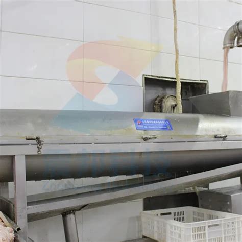 Poultry Slaughterhouse Poultry Processing Plant Chicken Processing