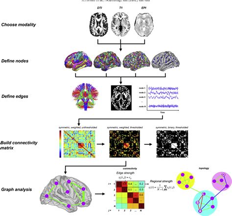 Cerebral Dysfunction Semantic Scholar