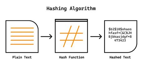 Understanding And Implementing Password Hashing In Nodejs Dev Community