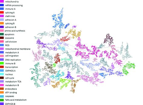 Probabilistic Graphical Model Probabilistic Graphical Model Using