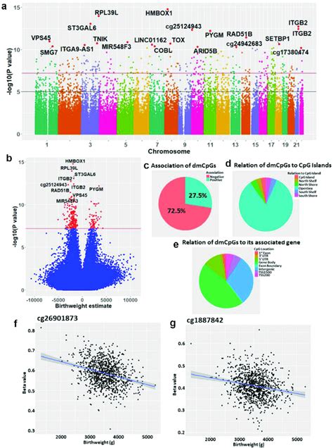 A Manhattan Plot Of The Differential Methylation Results With Respect