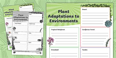 Plant Adaptations To Environments Fact File Template