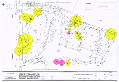 Plan Showing The Position Of The 11 Trees And Shrubs S1 S6 Examined In