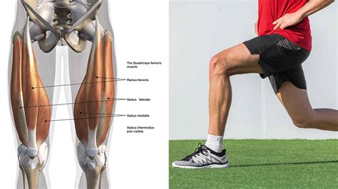 Quadriceps Tendonitis Exercise At Mary Eklund Blog