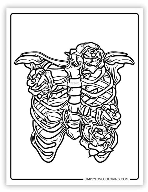Skeleton To Colour