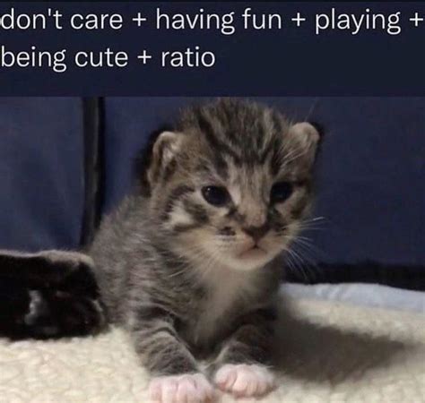 Having Funratio Rcatposting