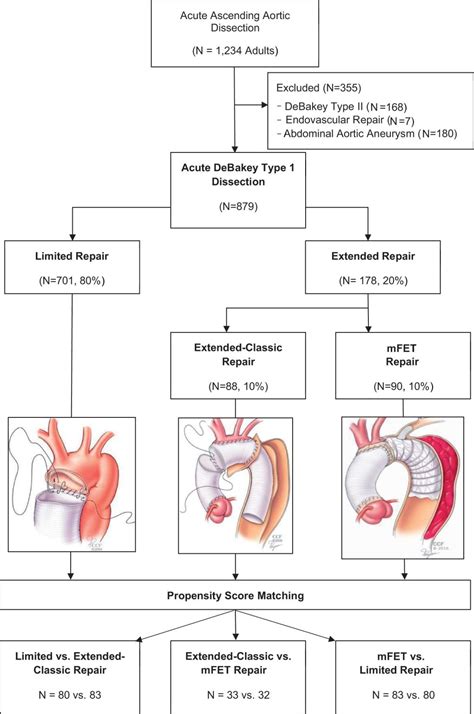 Dissection Debakey Clevelandclinic Aortaed Aorta Dissection