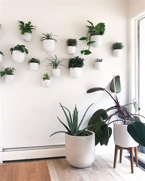 Boho Plant Decor Plant Wall Decor House Plants Decor Room Wall Decor