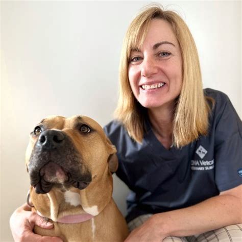 Emergency Vet Services In South London 24hourvetcare