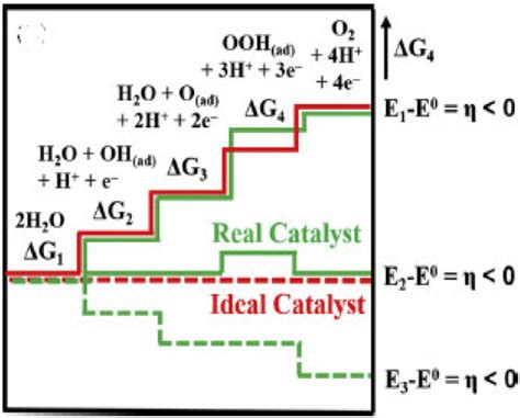 Thermodynamics Of Different Steps Of Oer Process Reproduced From Ref