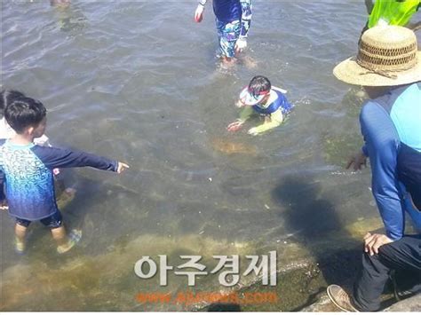 지역축제 제16회 예래생태마을체험축제 오는 6일 개최 아주경제