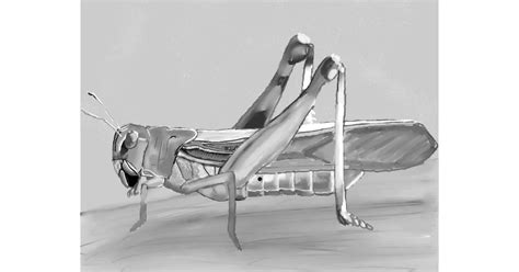 Watch Imaginebastille Draw Grasshopper