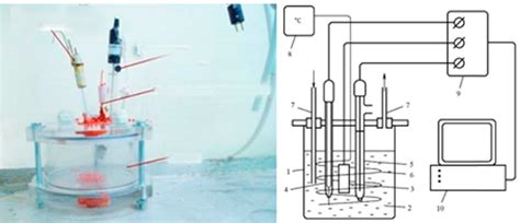 Electrochemical Cell A Appearance B Electrolytic Cell