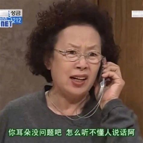 罗文姬女士 无水印表情包 知乎