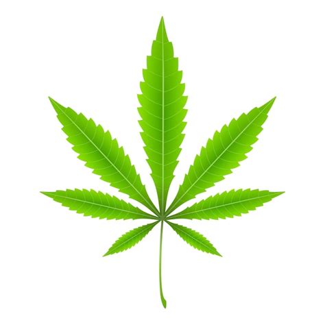 Hoja De Marihuana Vector Premium